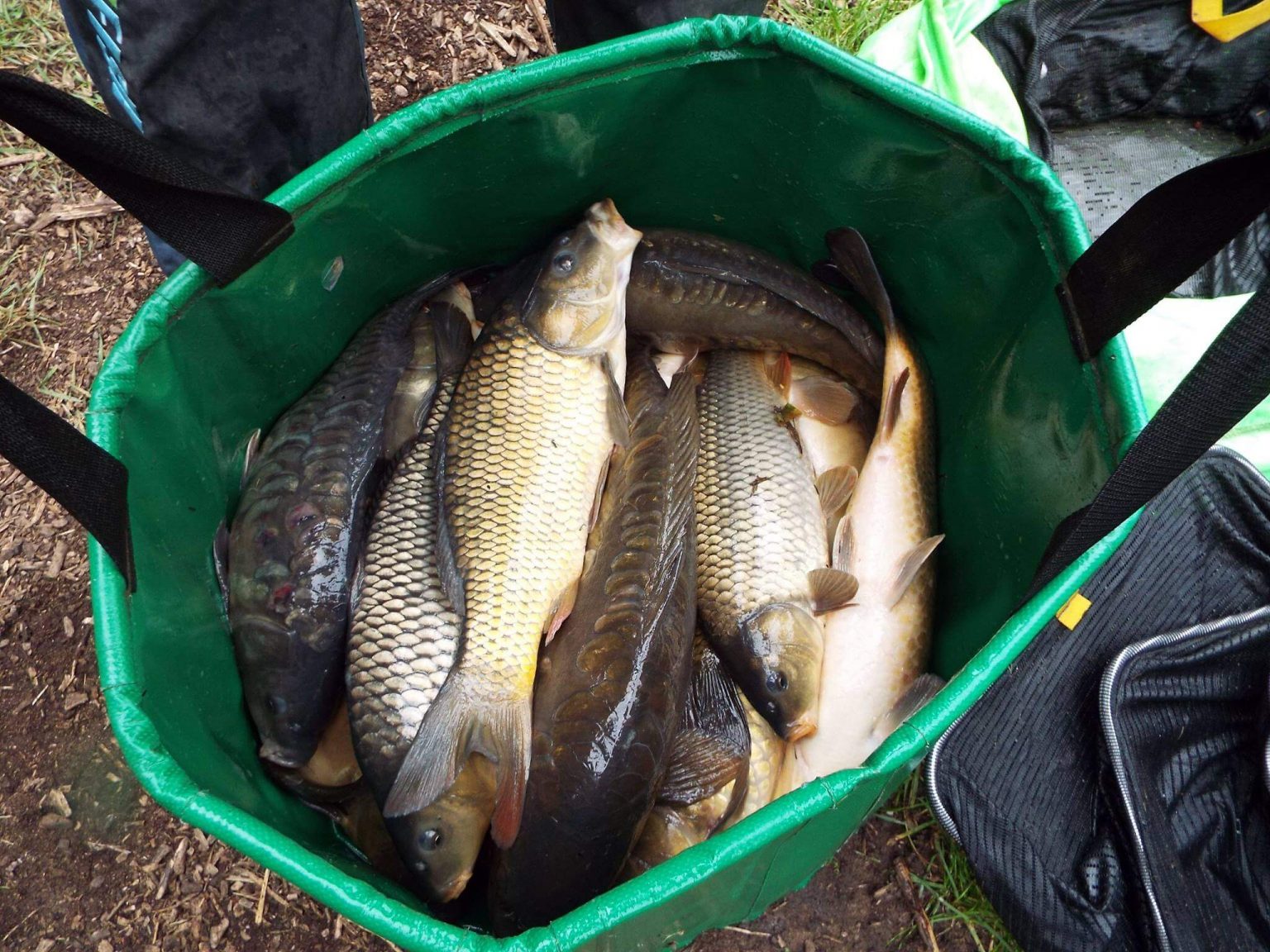 Wild Oaks Fishery – Wolverhampton